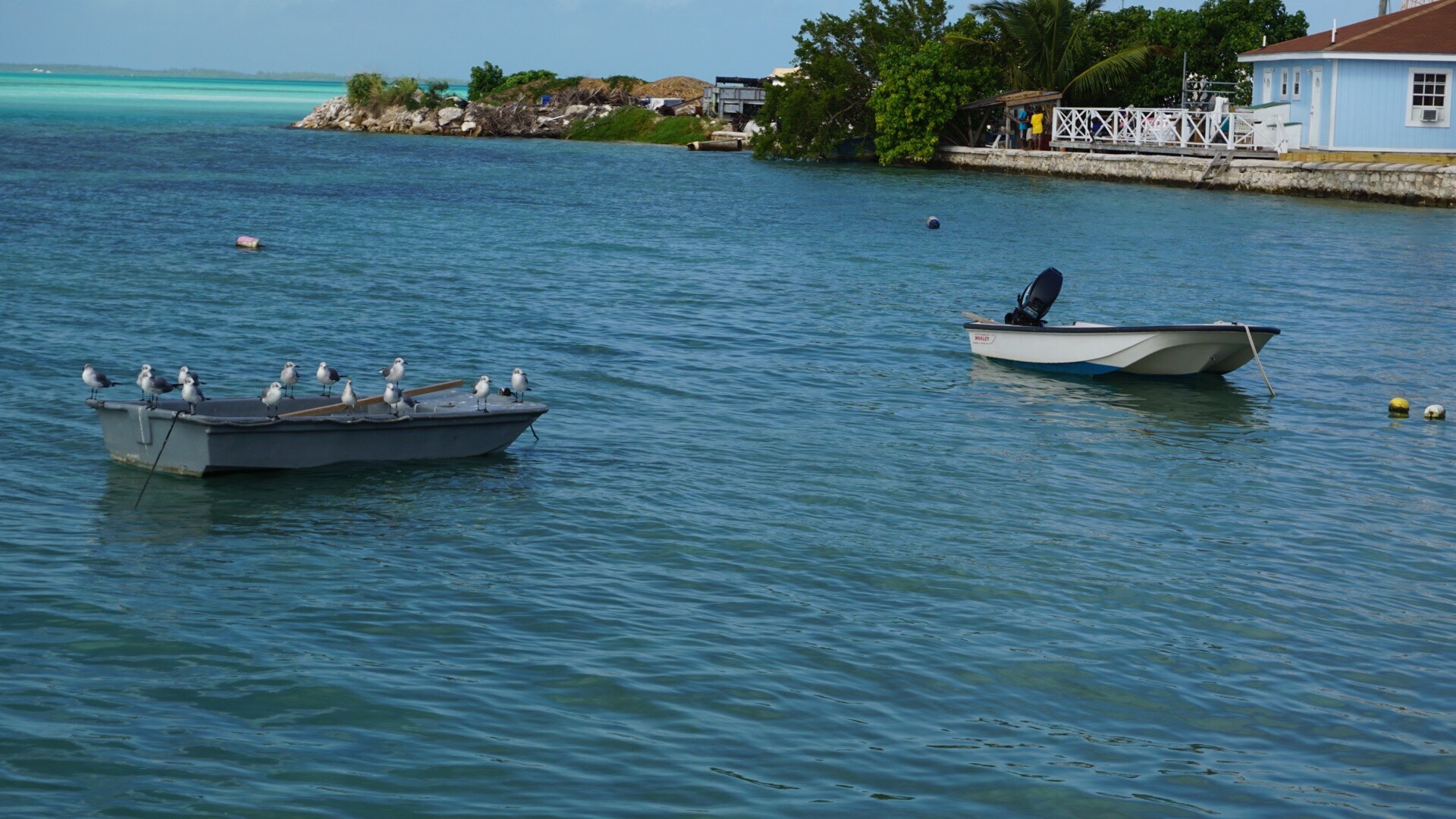 Top 10 Reasons to Love Briland (Harbour Island) – ALPHA 1 ON THE RUN