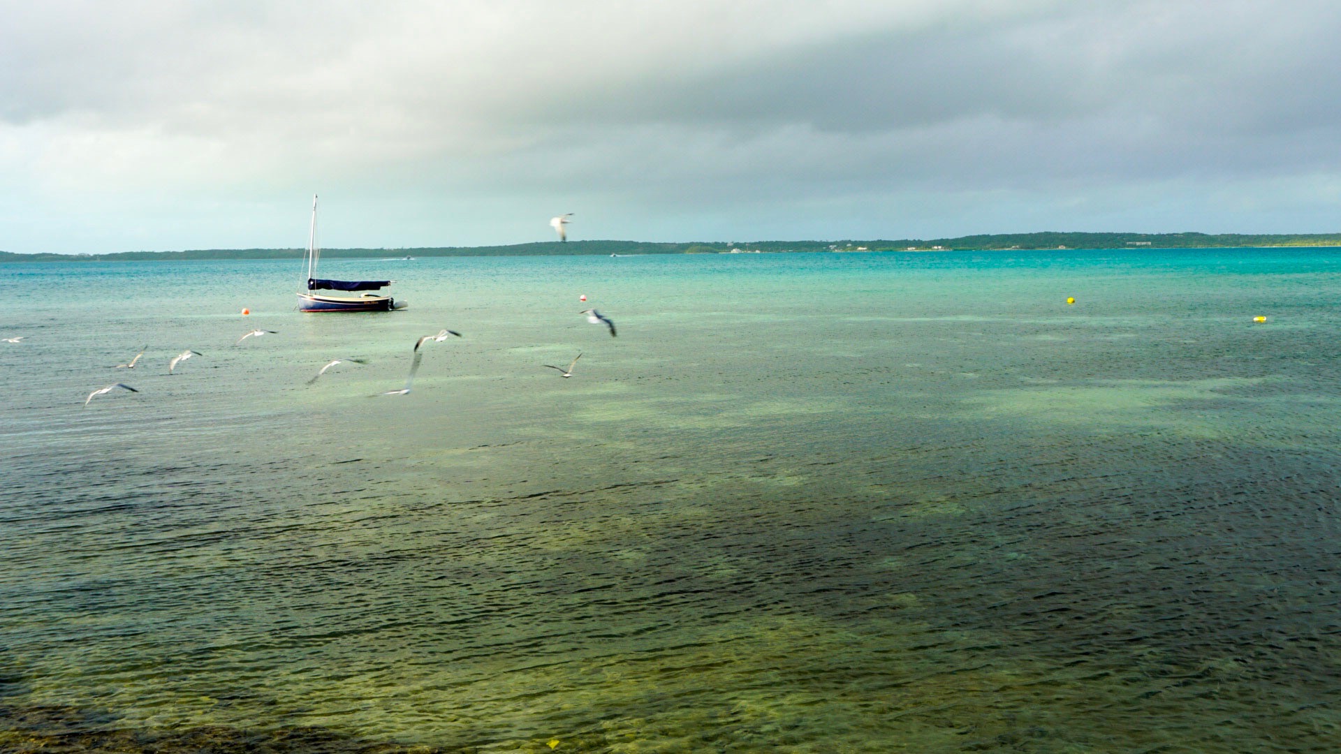 Top 10 Reasons to Love Briland (Harbour Island) – ALPHA 1 ON THE RUN
