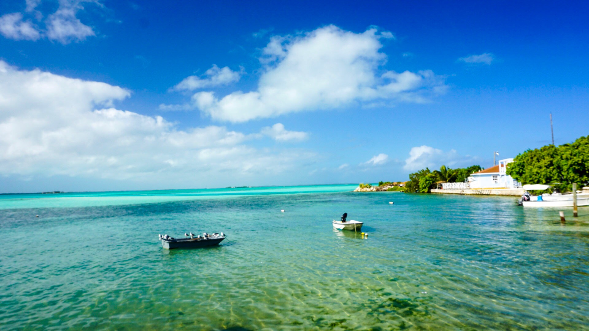 Top 10 Reasons to Love Briland (Harbour Island) – ALPHA 1 ON THE RUN